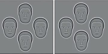 Face perception in health and disease (C-100597) - College of Optometrists